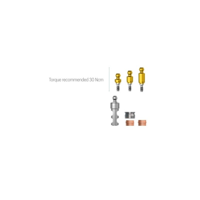 Ball Abutment JDEvolution S